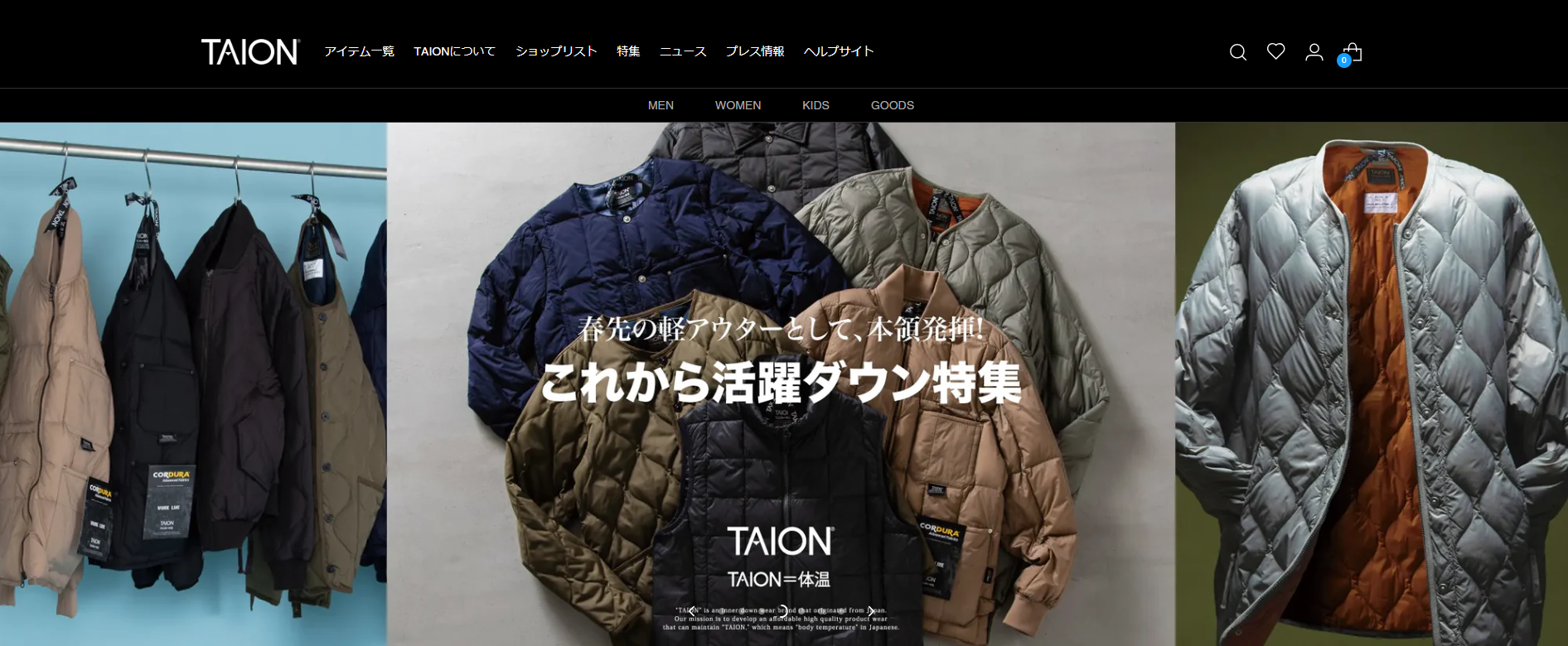 TAIONとは？人気の理由やシリーズを徹底解説！